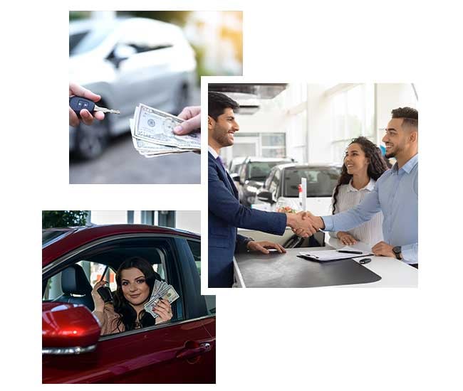 Royal Automotive - Car Dealership in Ocoee, FL