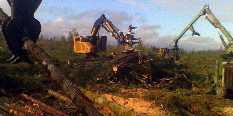 Welcome to American Forest Lands Washington Logging Company LLC in ...