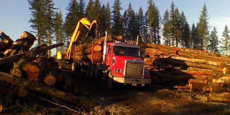 Welcome to American Forest Lands Washington Logging Company LLC in ...